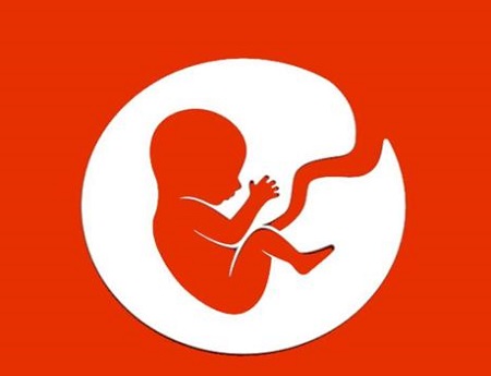 BitLife Game | Play Online Free